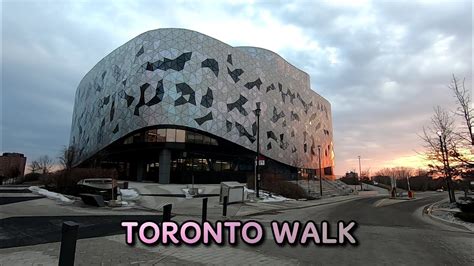 Toronto Walk York University Keele Campus YouTube