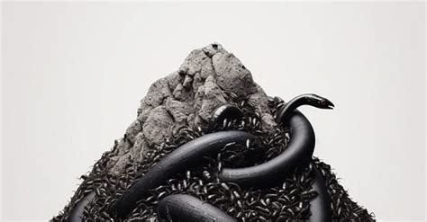 Intro To Pdb The Python Debugger Bite Code