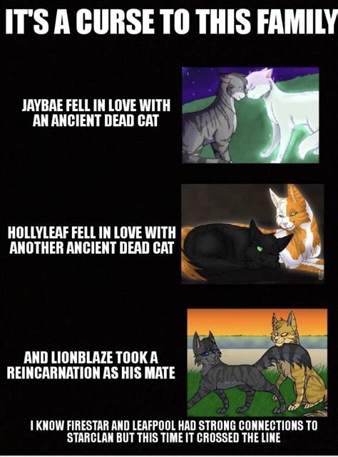 Warrior Cat Memes Funny Cat Lqp