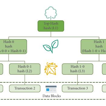 Differences In The Structures Of Centralization And Decentralization