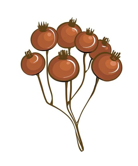 Premium Vector A Twig With Berries Vintage Boho Style Scandinavian