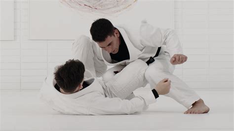 Guard Pass System Core Techniques