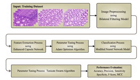Tunicate Swarm Algorithm With Deep Convolutional Neural Network Driven Colorectal Cancer