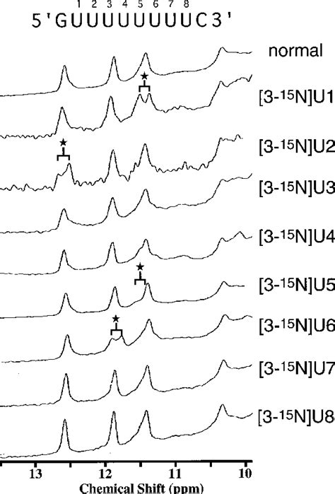 Figure 2 From Nmr Analysis Of The Hydrogen Bonding Interactions Of The Rna Binding Domains Of