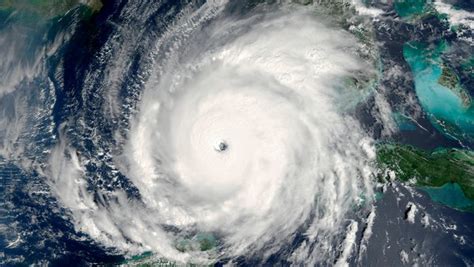 Como A Cientista Anima Anadkumar Usa A Ia Para Criar Remédios Melhores E Prever Eventos