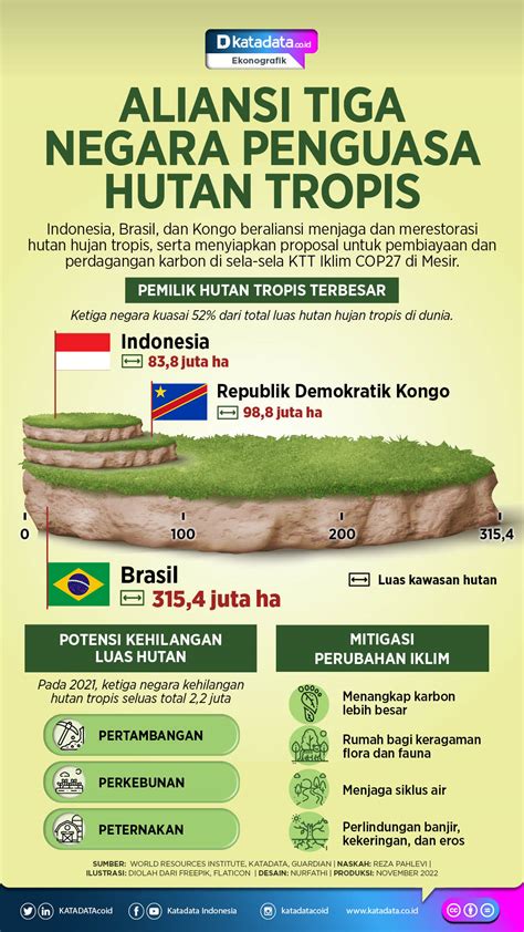 Aliansi Tiga Negara Penguasa Hutan Tropis Infografik Katadata Co Id