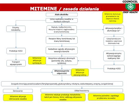 Mitemine® Najczęściej Zadawane Pytania