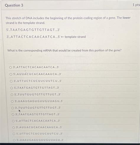 Solved This Stretch Of DNA Includes The Beginning Of The Chegg