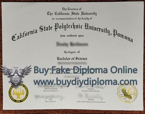 Cal Poly Fake Diploma Sample Order A Cal Poly Pomona Degree