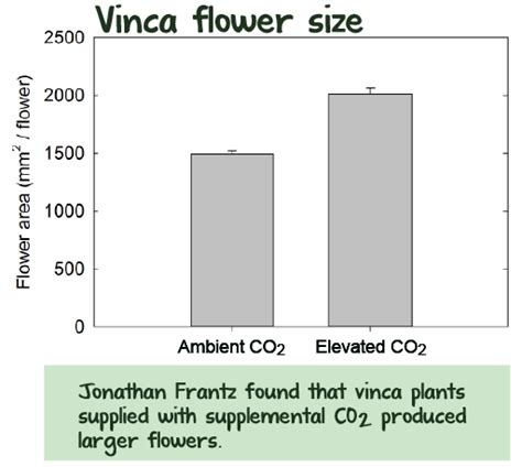 Maximize Your Plants Growth With Supplemental Co2 Urban Ag News