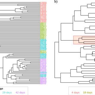 Hierarchical Clustering Analysis Dendrogram Of Bray Curtis