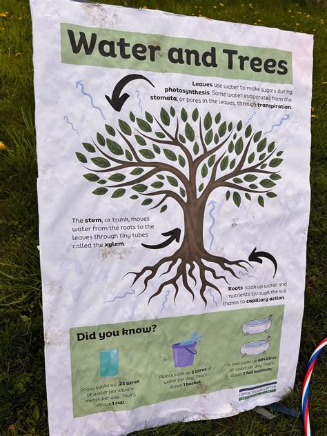 Trip To Fanshawe Conservation Area Learningin21