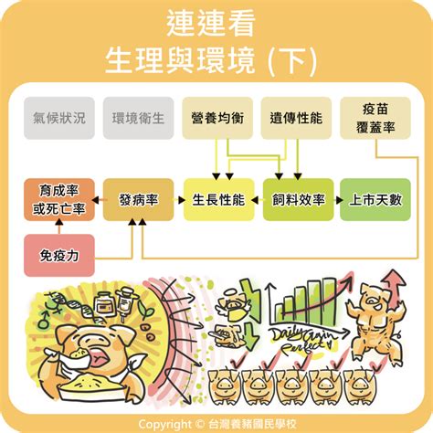 資訊卡 優豬可尋