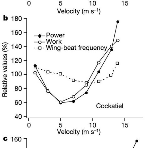 Pectoralis Power Work And Wing Beat Frequency As A Function Of Flight Download Scientific