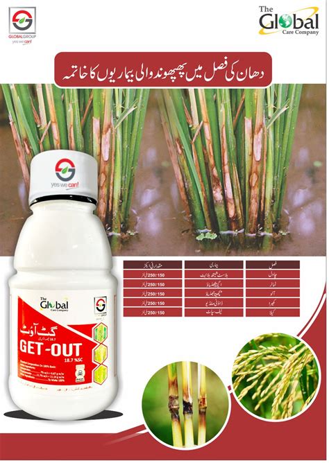 Global Group Fungicides