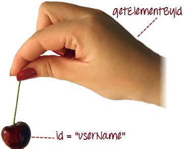 Locators Used In Selenium For Object Identification