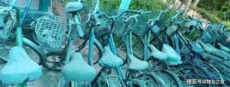物业关于集中清理小区“僵尸车”的通知车辆服务业主