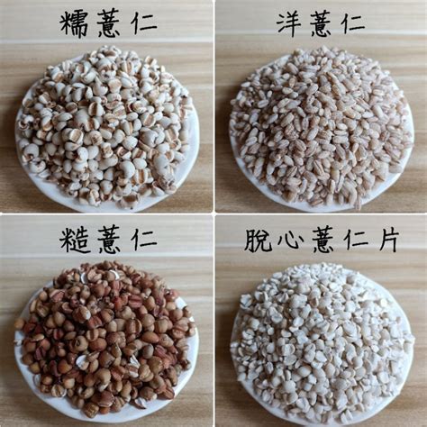 小草大樹各種薏仁 電子發票 大薏仁 白薏仁 糯薏仁 糙薏仁 紅薏仁粉 洋薏仁 薏仁片 碎薏仁 珍珠米 批發 蝦皮購物