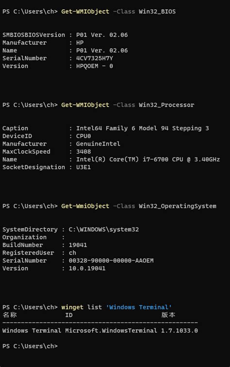 Windows Terminal V010 Brings Mouse Input Duplicate Pane