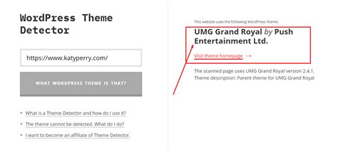 6 Best WordPress Theme Detectors Experts Pick