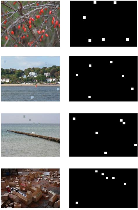 figure 2 from a novel deep learning framework for image forgery