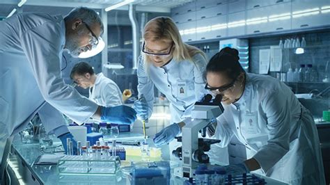 The Pregnancy Lab How Early Can Pregnancy Be Detected Lab Testing