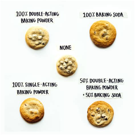 Base Verlegen Seebrasse Baking Soda Vs Baking Powder Monat Philadelphia Kaliber