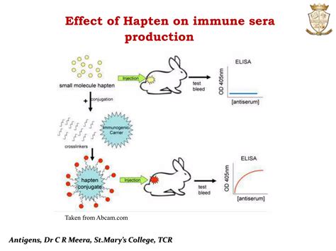 Microbiologyantigens Pptx