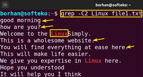 The Grep Command In Linux Practical Examples
