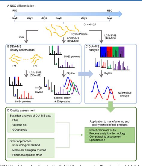 Figure 1 From Quantitative Proteomics For The Development And Manufacturing Of Human Induced
