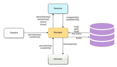 Java Springboot Entitylifecycle Softwareengineering Codingtips