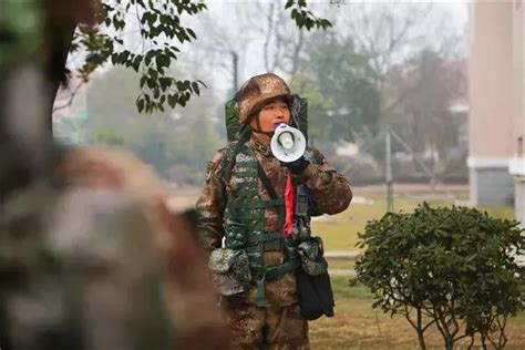 第71集團軍某旅：多種專業課目穿插連貫實施，從難從嚴組織戰鬥體能訓練 每日頭條