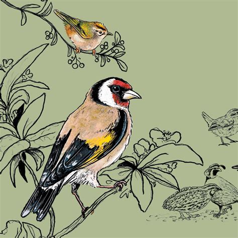 Willewete Vogels Op Zoek Naar Ruach