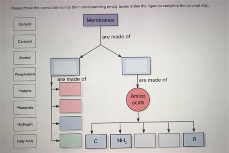 Solved Please Label The Terms Or Descriptions In The Chart Chegg
