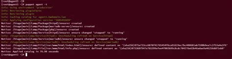 How To Install Puppet Server And Agent On Almalinux