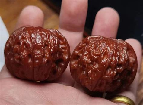 Holding Walnuts Like Life In The Palm Of Their Hands Garland Magazine