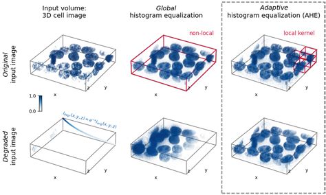 D Adaptive Histogram Equalization Skimage V Docs