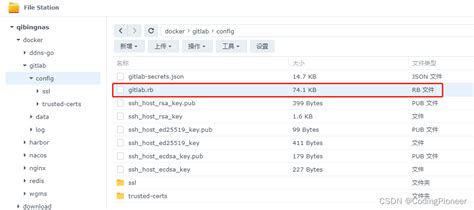 群晖docker安装gitlab Ce Zh中文版，并绑定阿里域名并启用 Csdn博客
