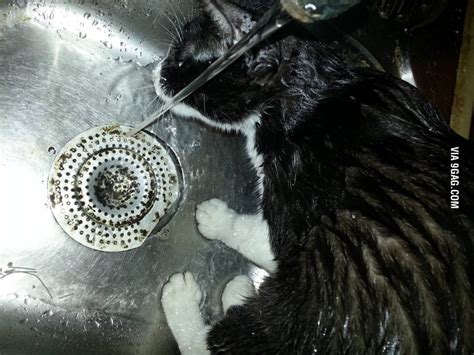 Let Me Show You My Wet Pussy 9gag