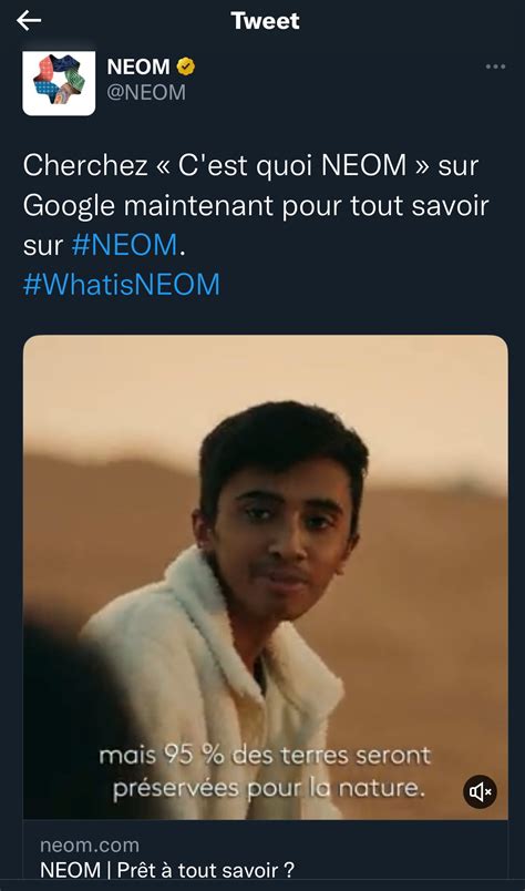 Greenwashing Or Revolution What Is Neom All About Skema Knowledge