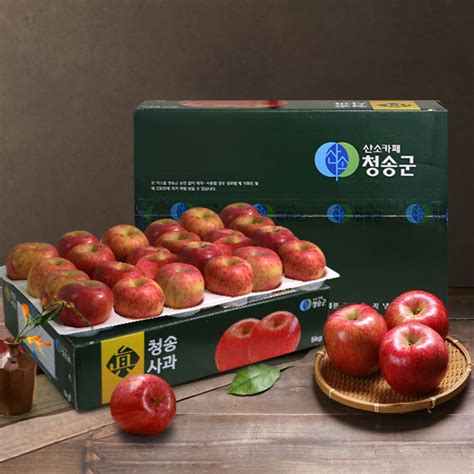 광화문몰