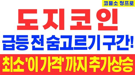 도지코인 급등 전 숨고르기 구간 최소 이 가격까지 추가상승 Youtube