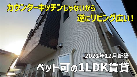 ペット可😻🐶2022年12月新築の一人暮らし間取り1ldkの賃貸アパートを内見🤗カウンターキッチンじゃないほうが広く感じるルームツアー