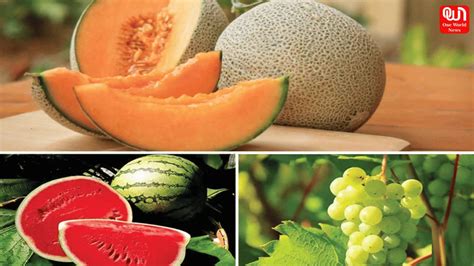 5 Summer Friendly Foods গরমকে হারাতে এবং শরীরকে পুষ্টি দিতে এই ৫টি