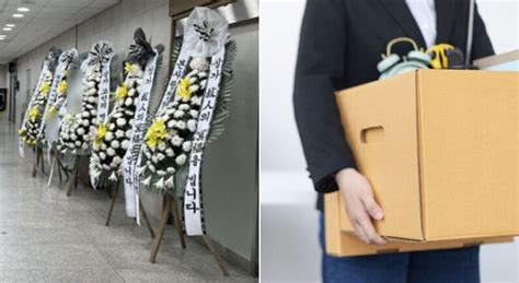 “친구 장례식 가야 해서요” 3주차 신입 휴가 못쓰자 퇴사 신입사원 Ntd Korea