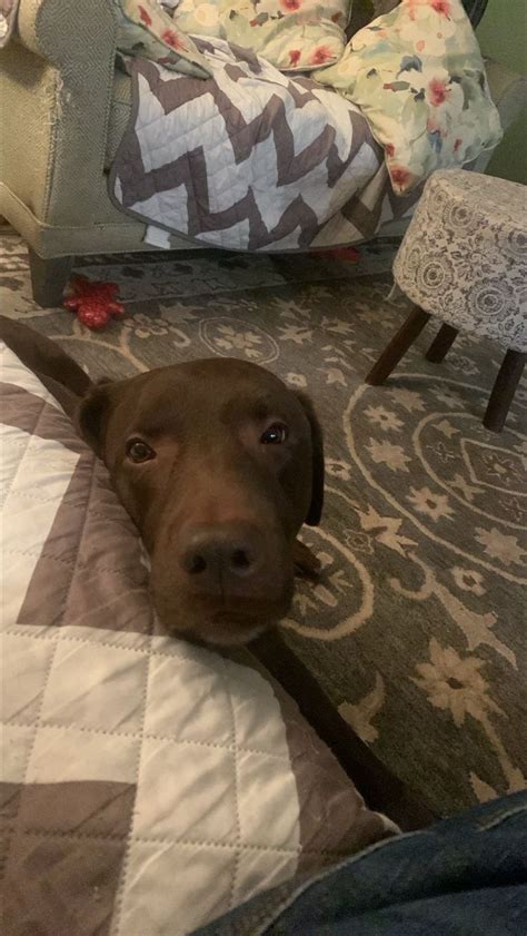 Im Happy To Share That Im Starting A New Position As Senior Research Expert At Incyte Im