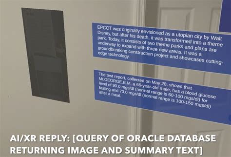 Develop Xr With Oracle Ep Ai Summarizer Generator