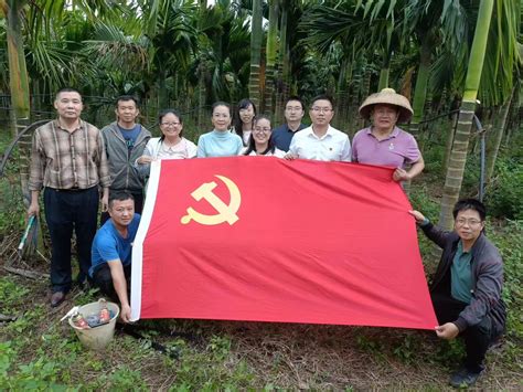 椰子研究所 工作动态 油棕党支部联合产业发展部党支部开展“基地共建”主题党日活动
