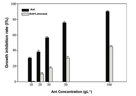 Influence Of Anthracene And The Laccase Converted Metabolites On P