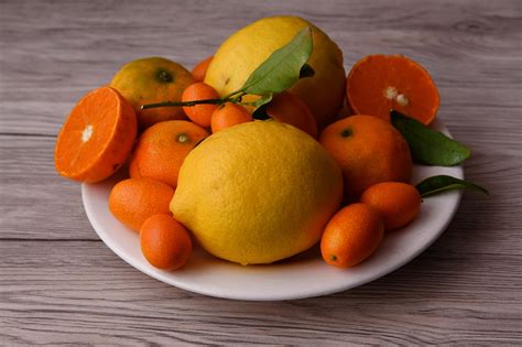 Oranges Lemons Tangerines Free Photo On Pixabay Pixabay